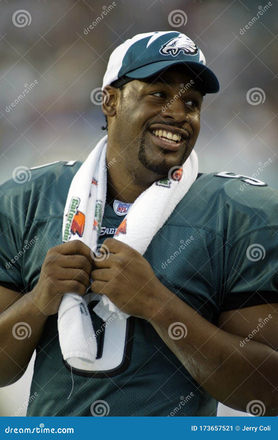 Donovan McNabb editorial photo. Image of football, quarterback - 173657521