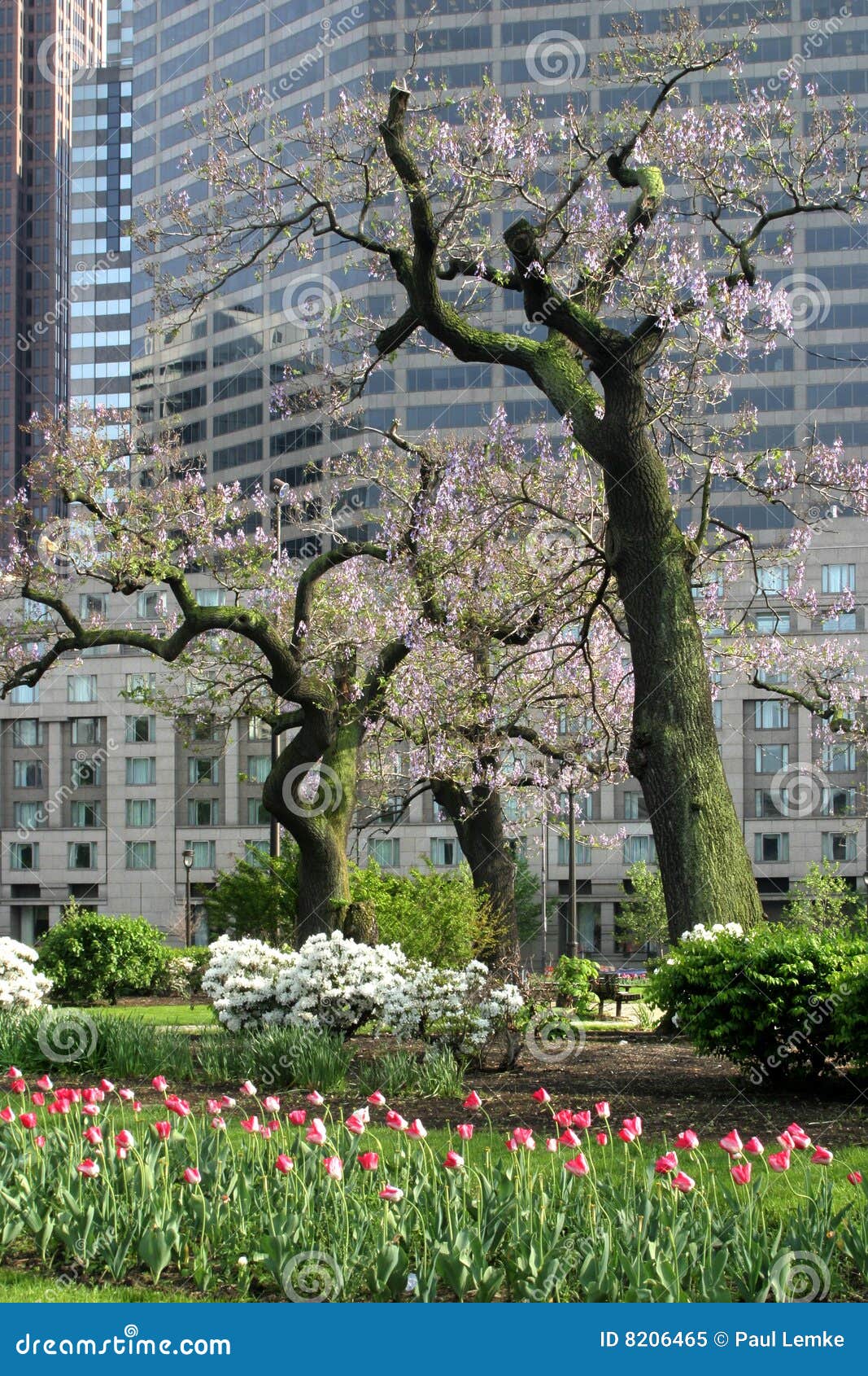 Philadelphia, Pennsylvania stock image. Image of springtime - 8206465