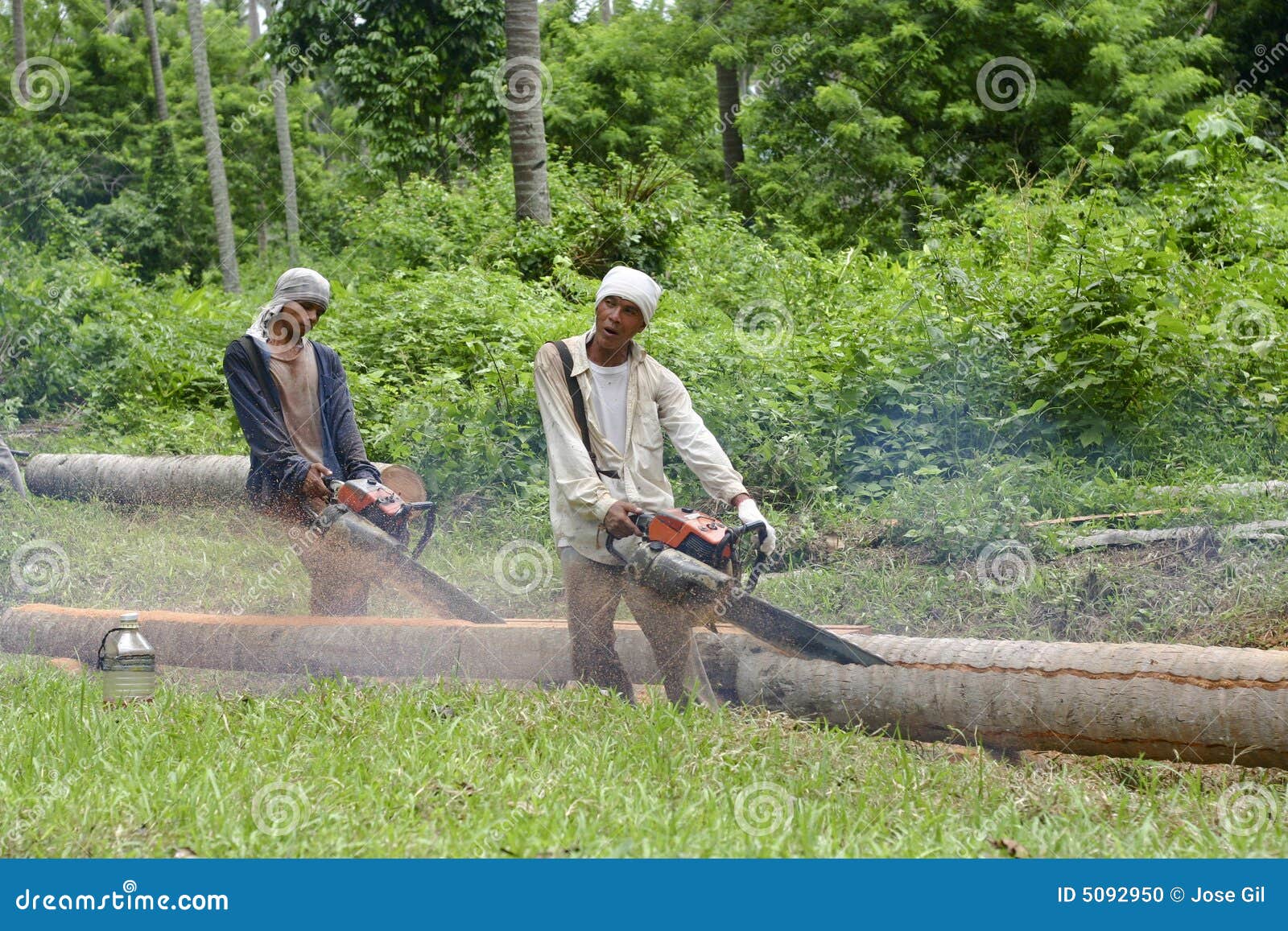 Philippine Lumberjacks 2 editorial image. Image of travel - 5092950