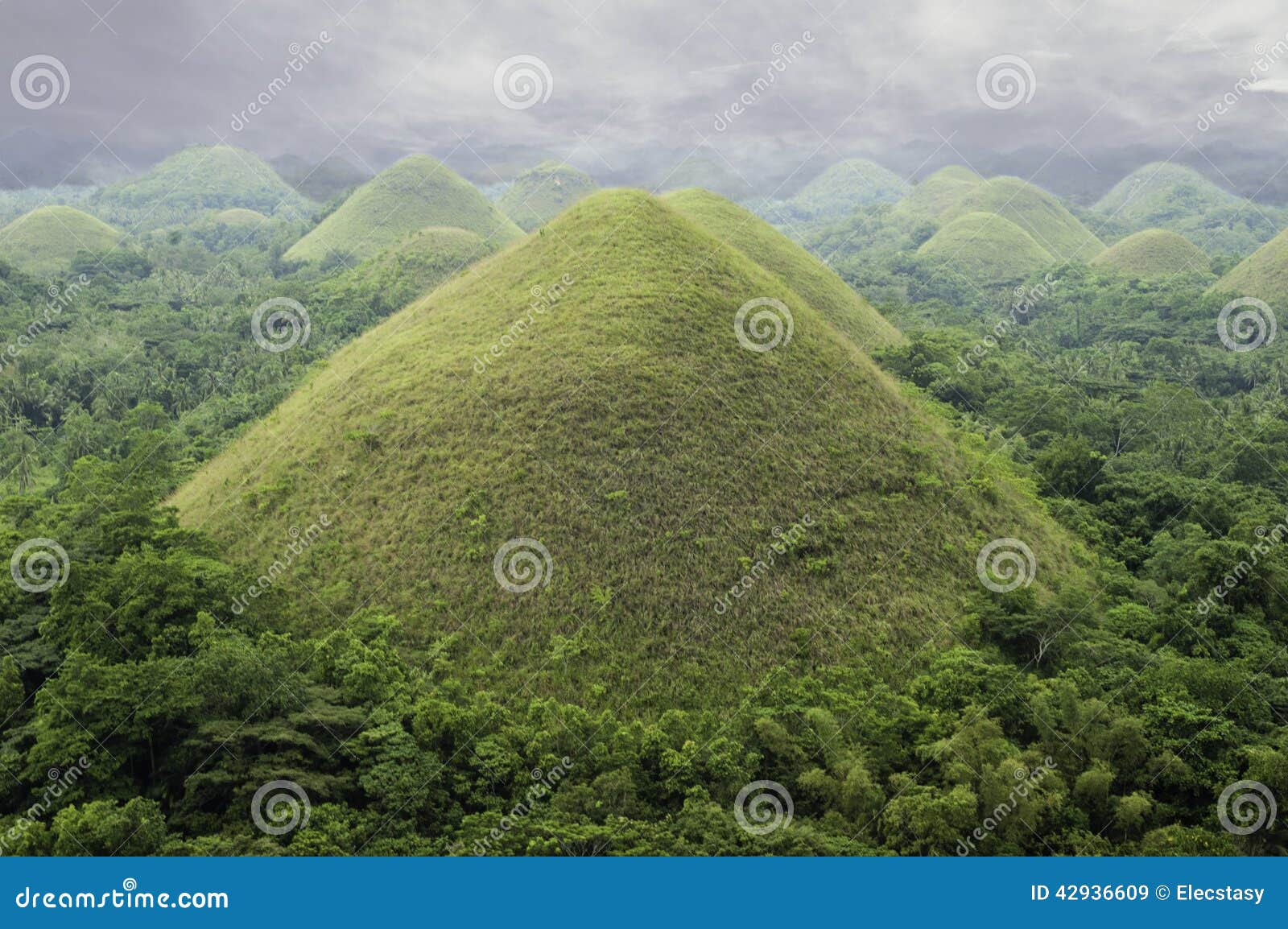 Philippines Bohol Famous Chocolate Hills Stock Image - Image of nature ...
