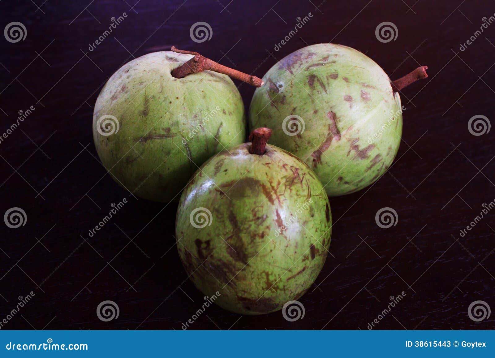 Philippines Chrysophyllum Cainito Stock Image - Image of tropical ...