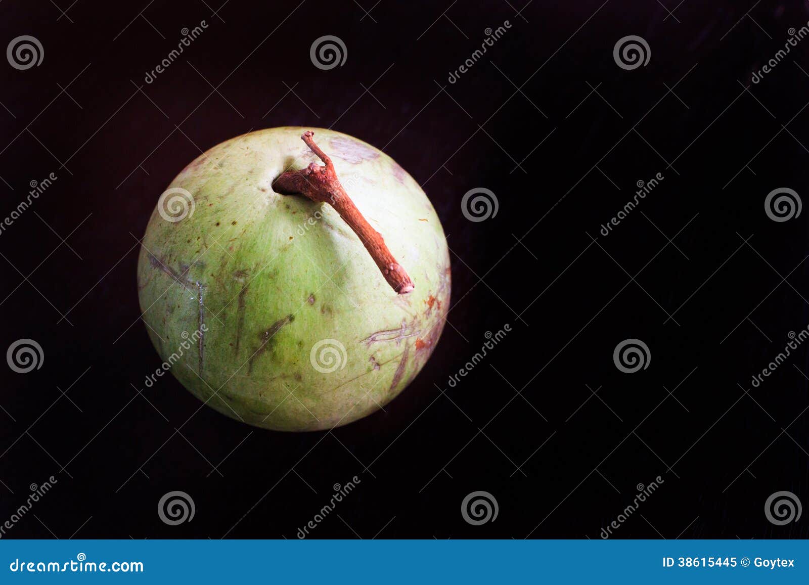 Philippines Chrysophyllum Cainito Stock Image - Image of ripe, food ...