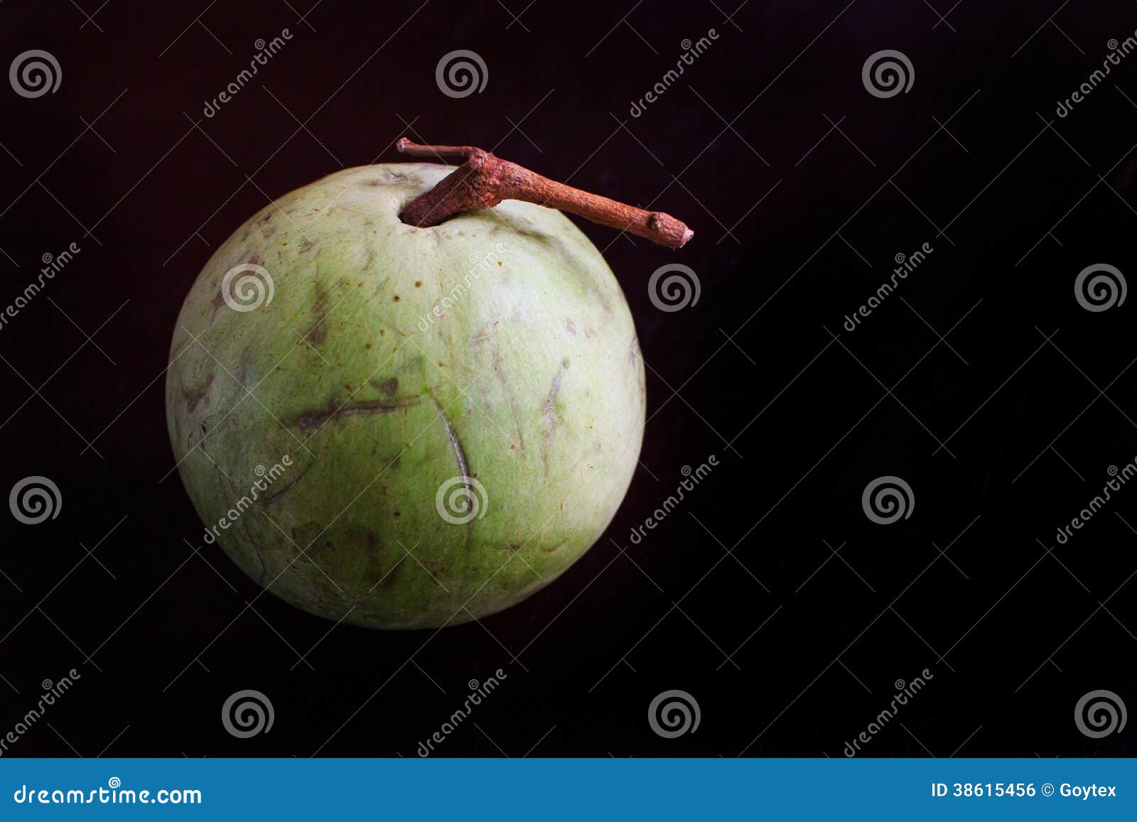 Philippines Chrysophyllum Cainito Stock Photo - Image of chrysopyhllum ...