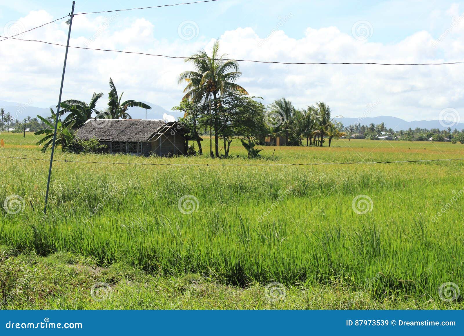 Philippines stock image. Image of pasture, vacation, landscape - 87973539