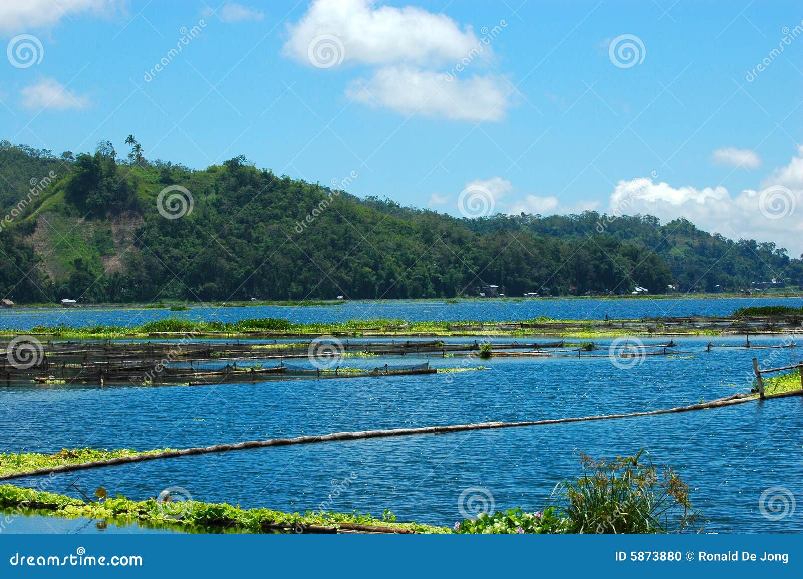 Philippines, Mindanao, Lake Sebu Stock Photo - Image of boli, south ...