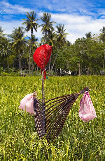 Philippines scarecrow stock photo. Image of palms, scarecrows - 12740088