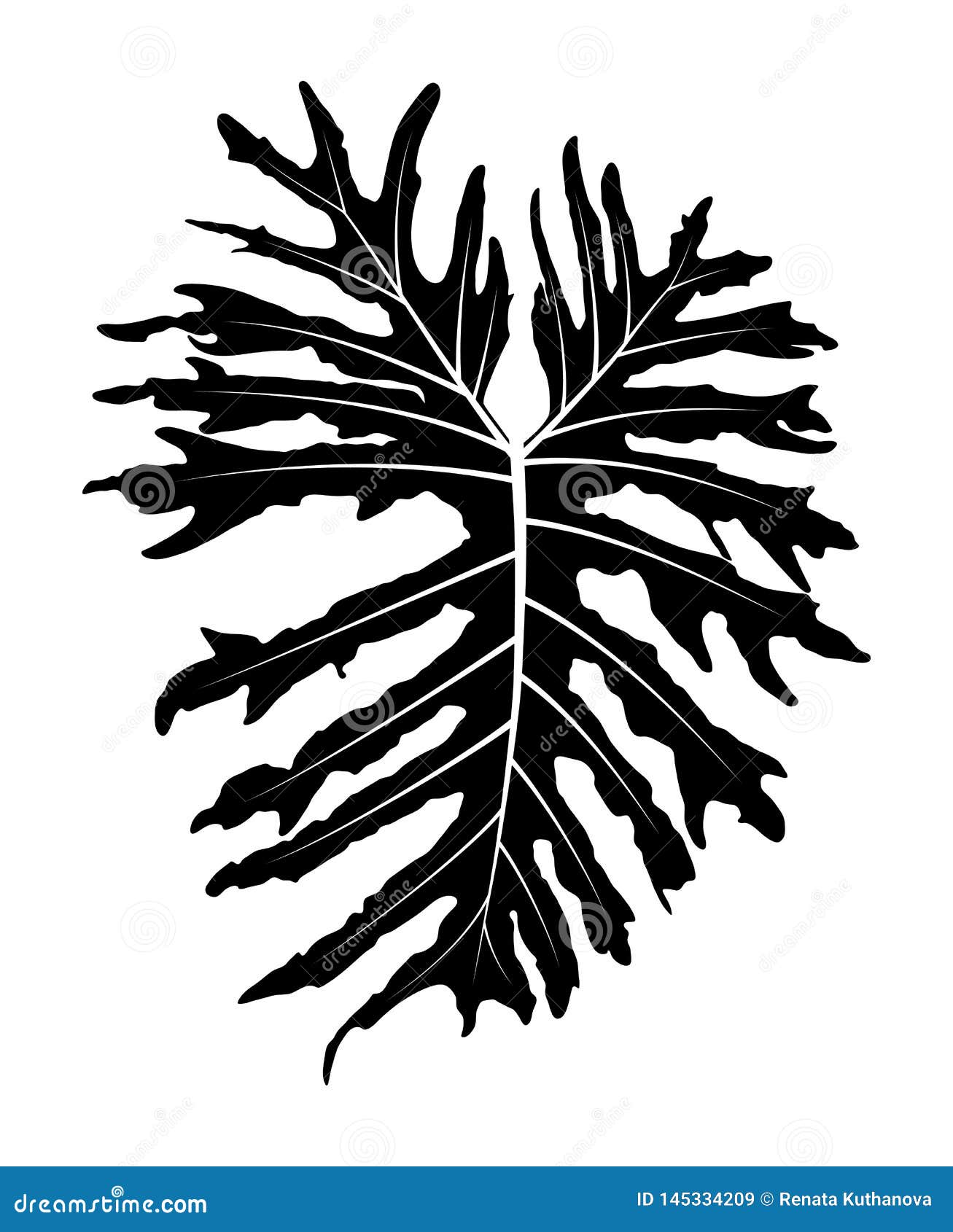 Philodendron Leaf. Line Art Doodle Sketch. Black Outline On White ...