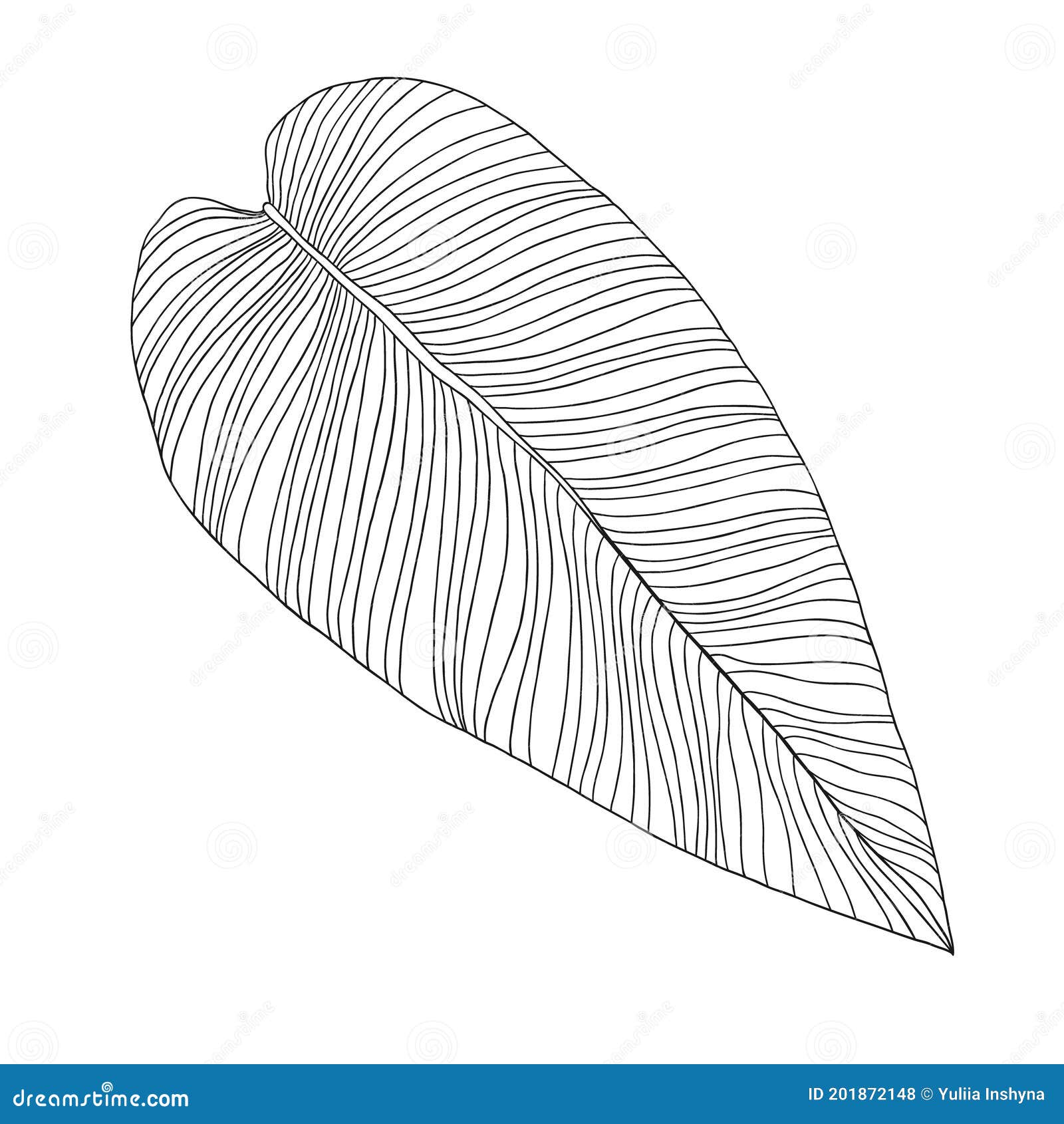 Philodendron Leaf Stylized Vector Illustration.Leaves Of Palm Tree ...