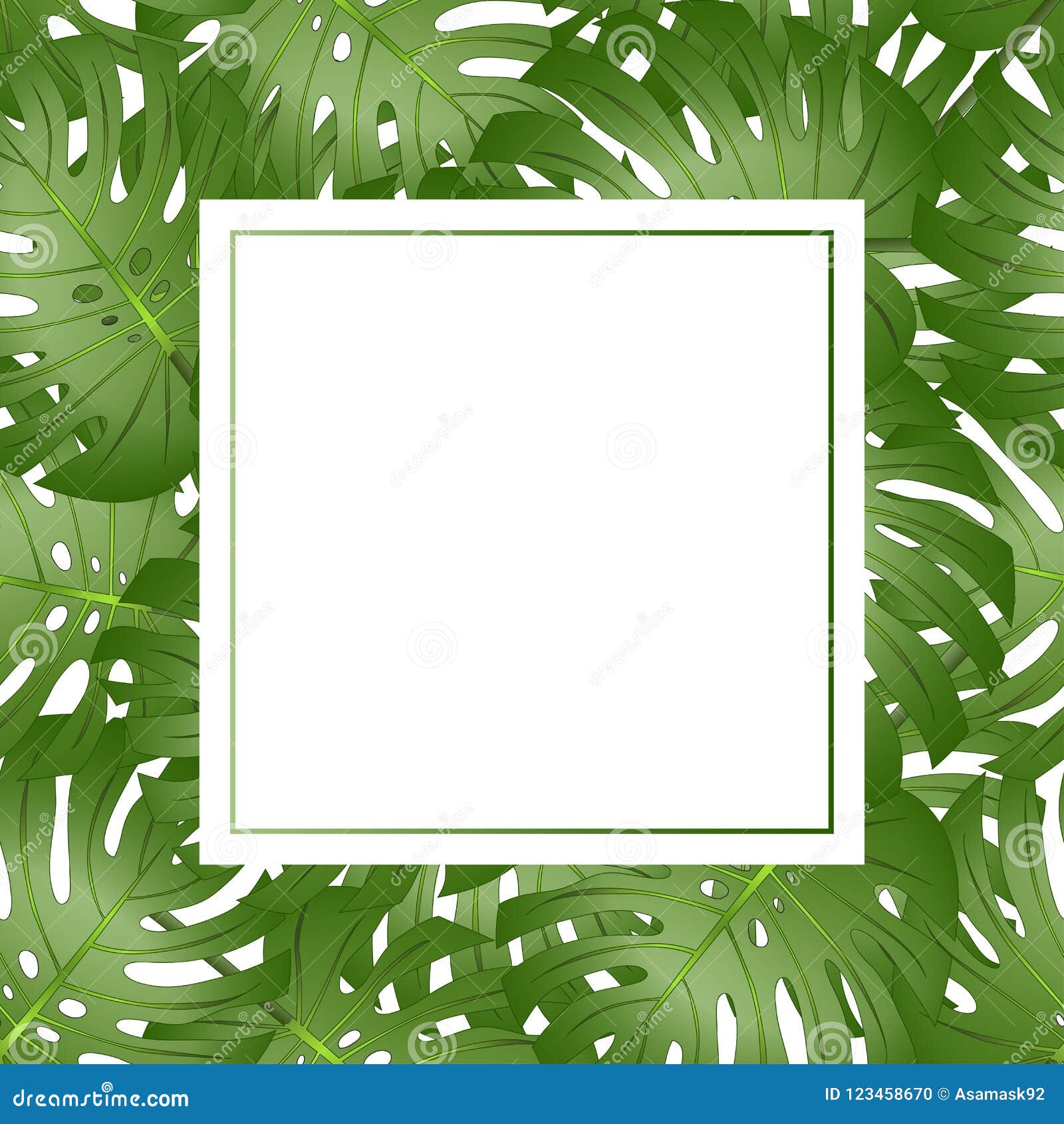 Philodendron Monstera Leaf Banner Card Border. Vector Illustration ...