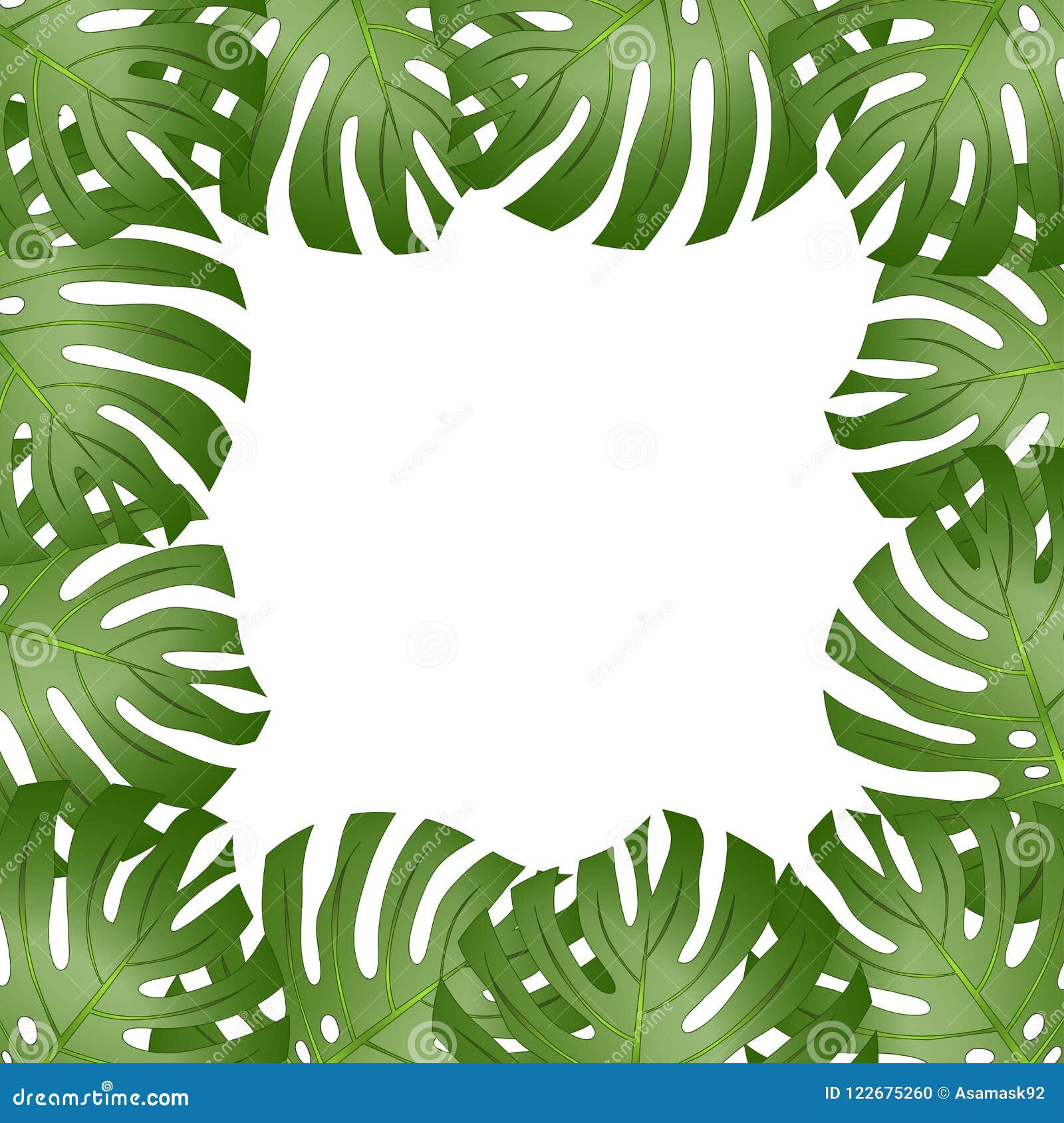 Philodendron Monstera Leaf Border Isolated On White Background. Vector ...