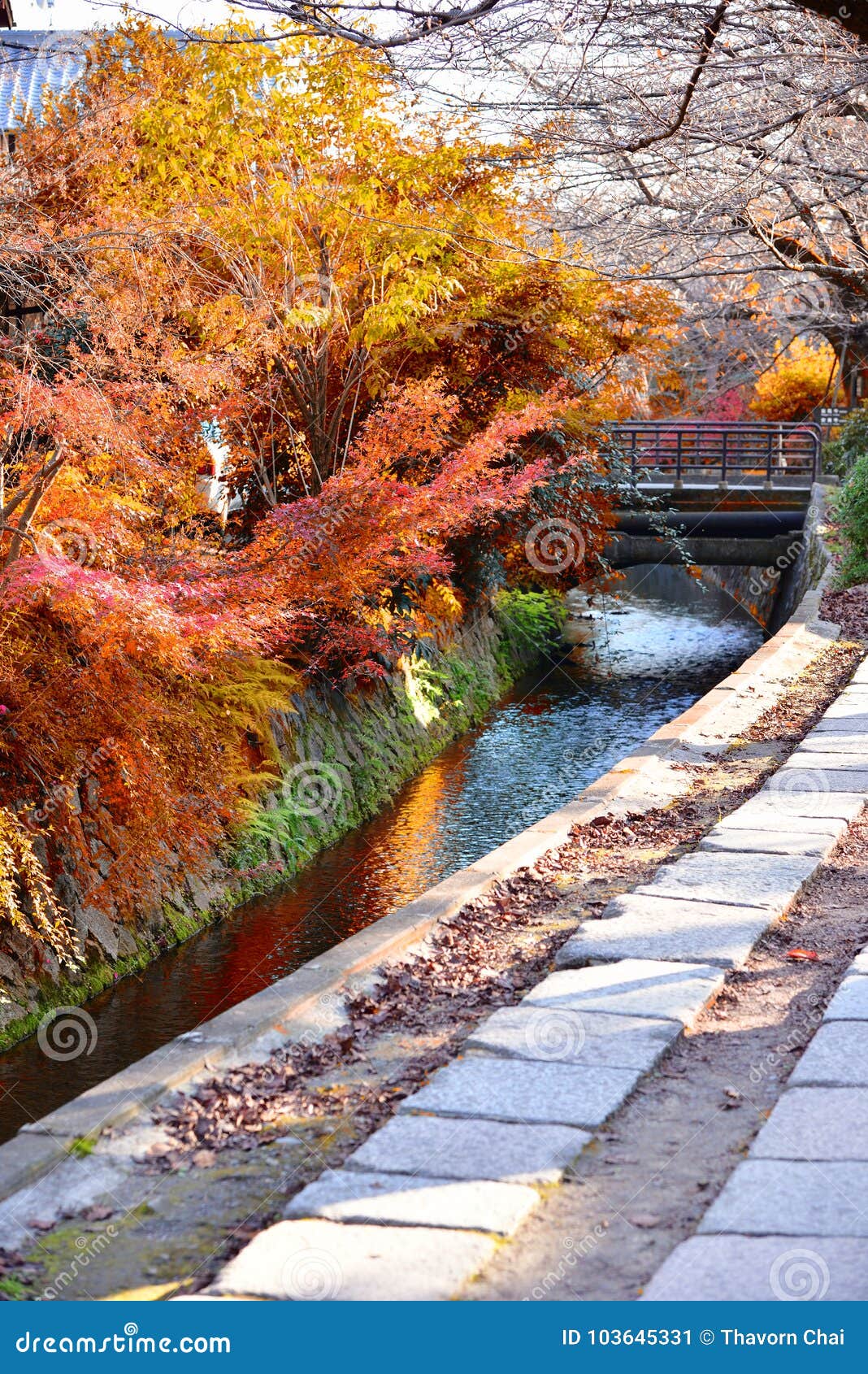 Philosopher Path in Autumn at Kyoto Stock Image - Image of kyoto ...