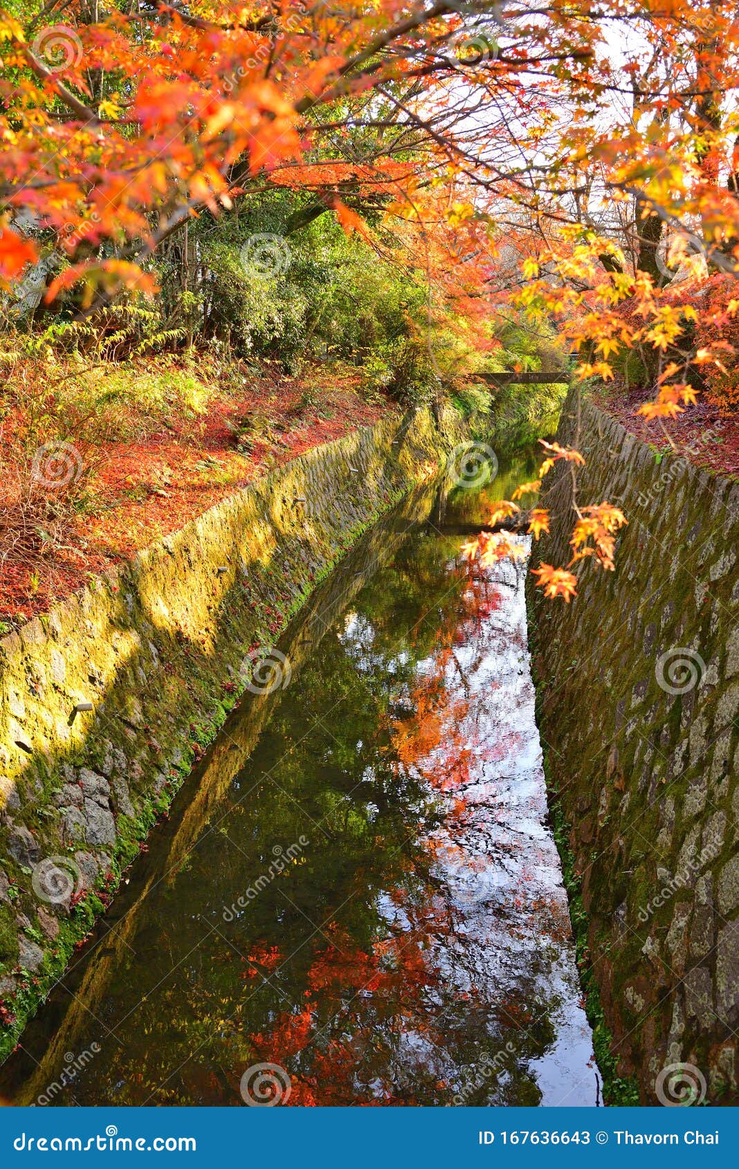 Philosopher`s Path in Autumn Stock Image - Image of park, saturation ...