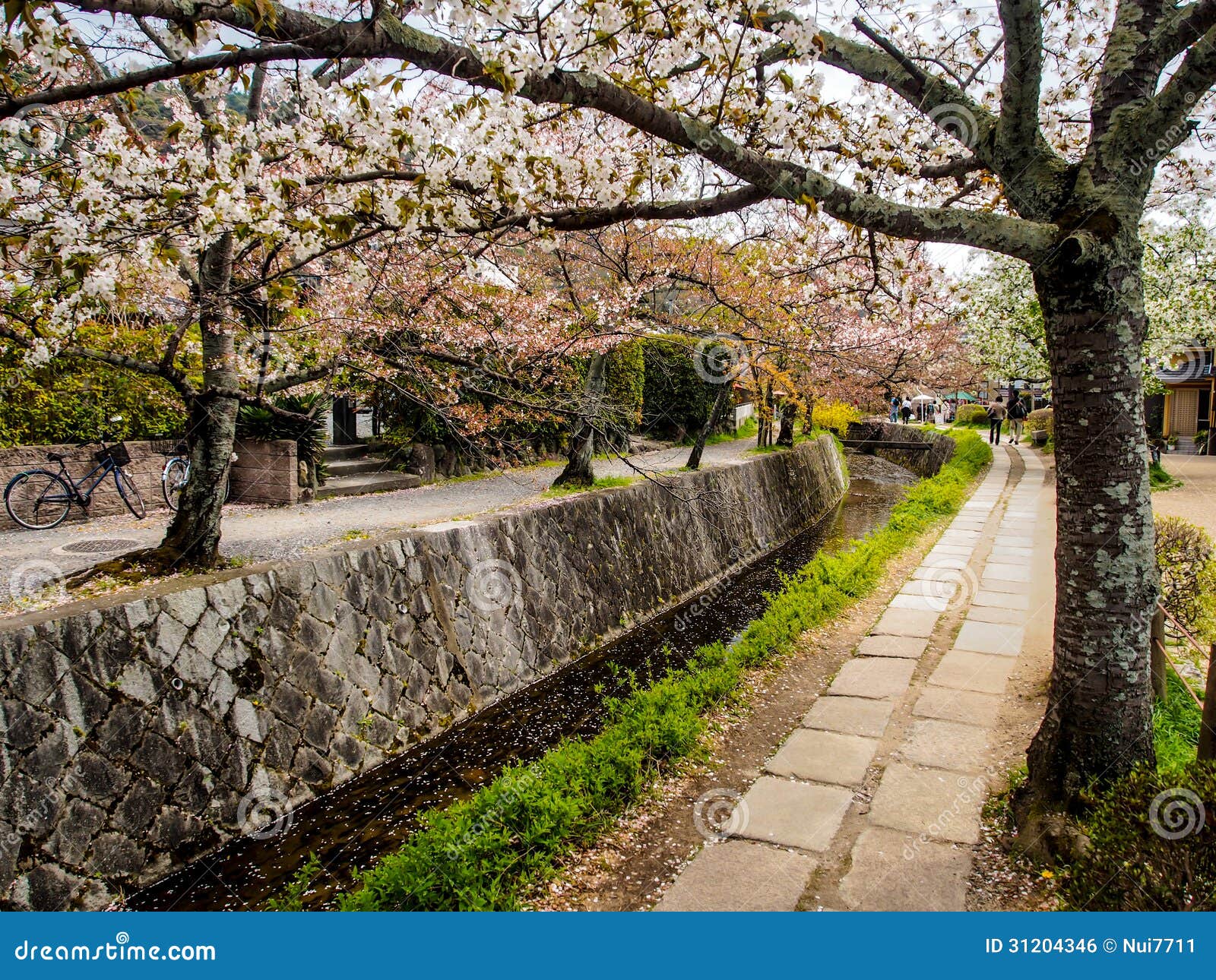 Philosopher S Path, Kyoto, Japan 1 Stock Photo - Image of colorful ...