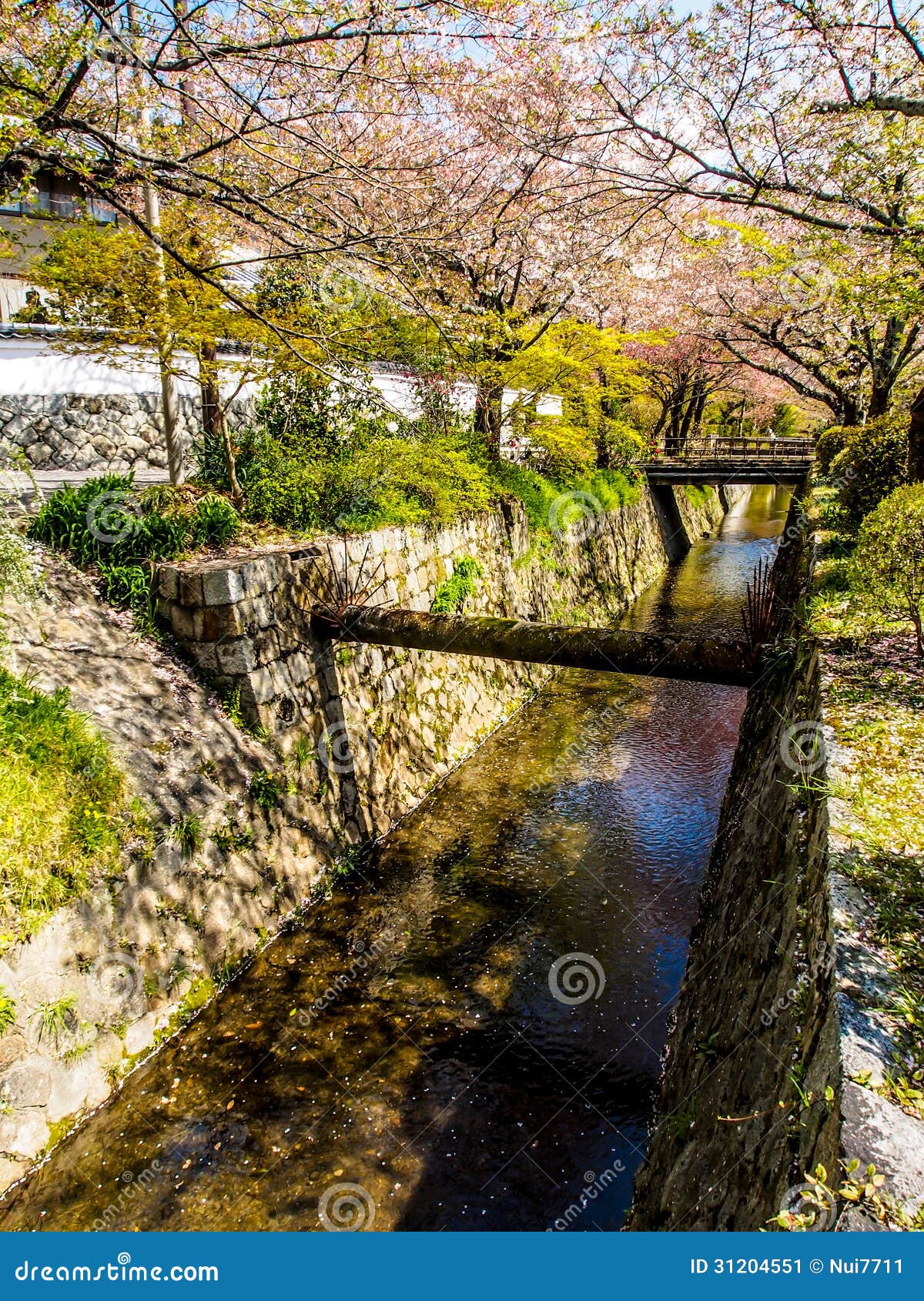 Philosopher S Path, Kyoto, Japan 4 Stock Image - Image of blossom ...