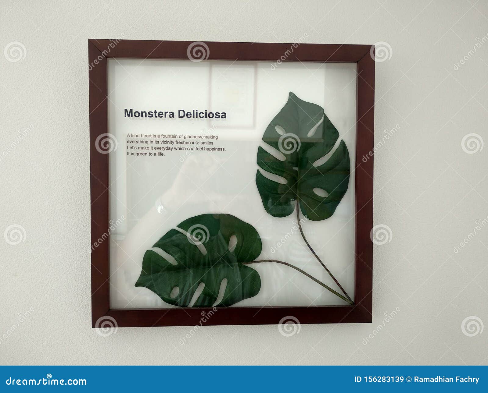 A Philosophy in Leaves editorial stock image. Image of philosophy ...