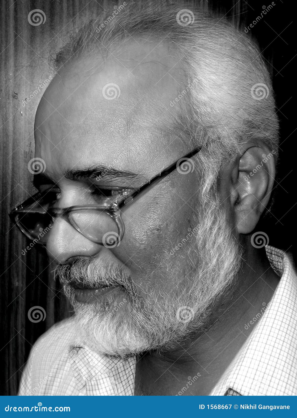 Philospher stock image. Image of hairstyle, hair, genius - 1568667