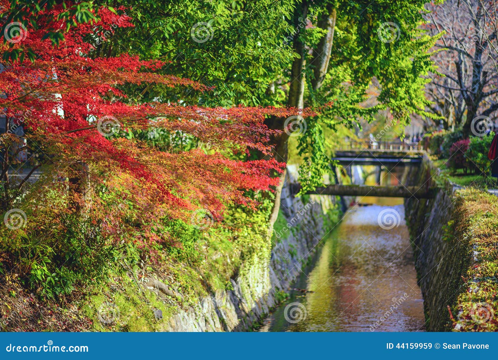 Philospher S Path in Kyoto, Japan Stock Image - Image of kyoto, pathway ...