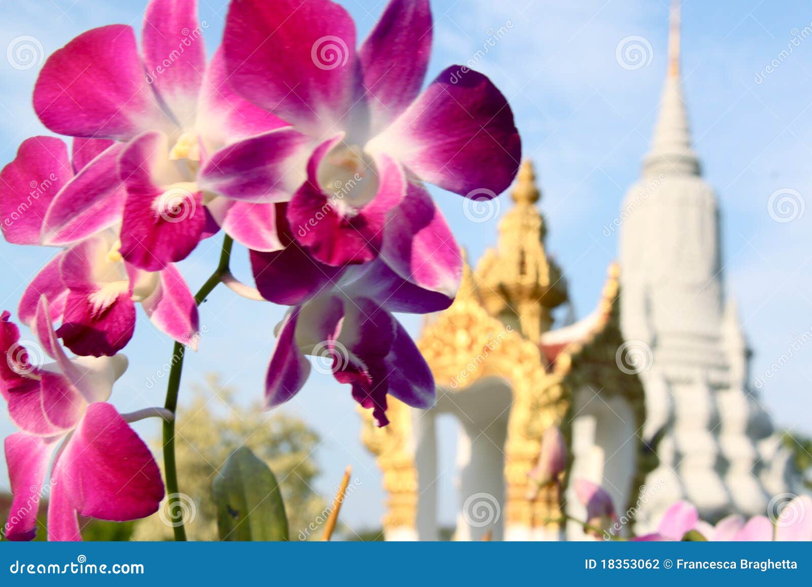 869 Royal Palace Complex Phnom Penh Stock Photos - Free & Royalty-Free ...