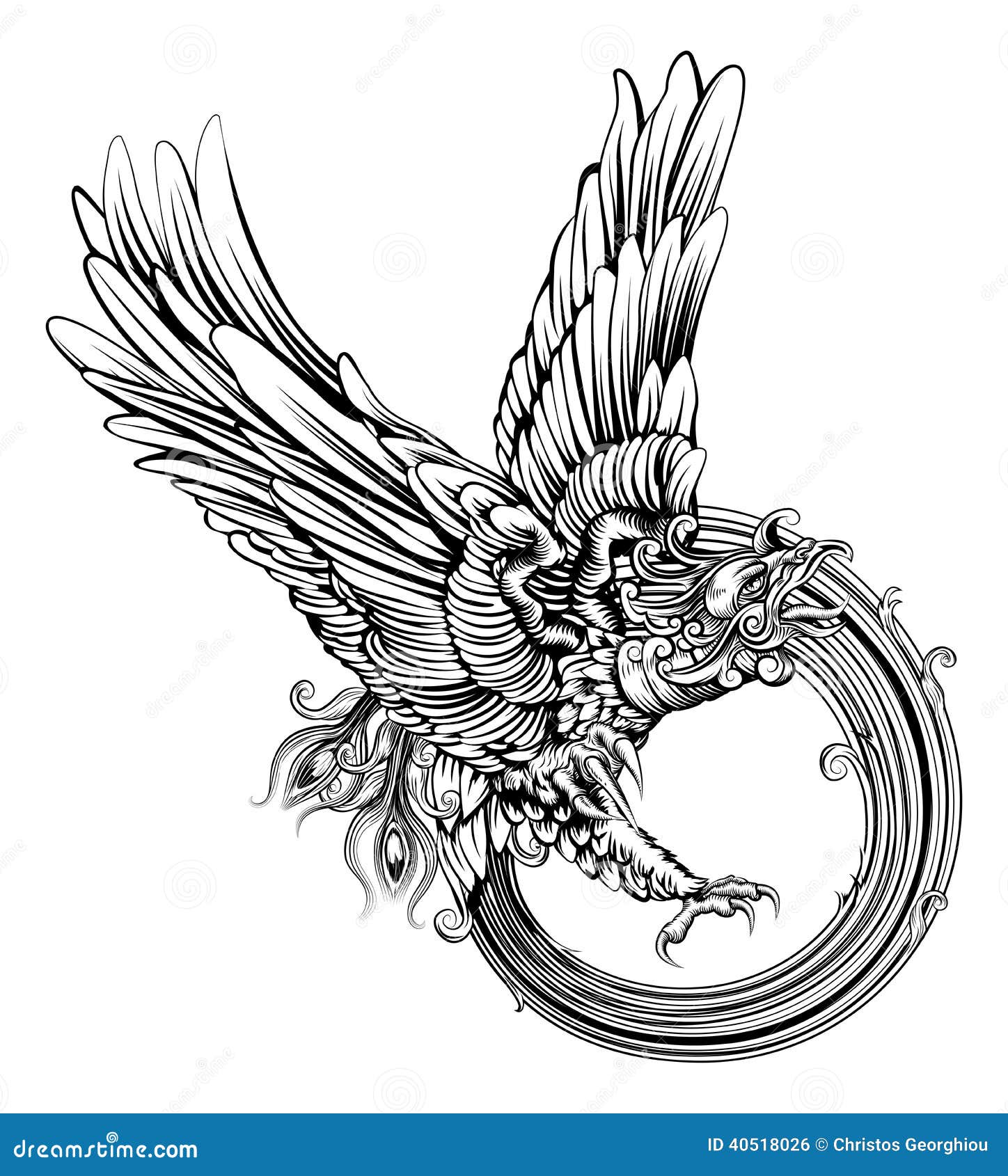 Phoenix bird or eagle stock vector. Illustration of logo - 40518026