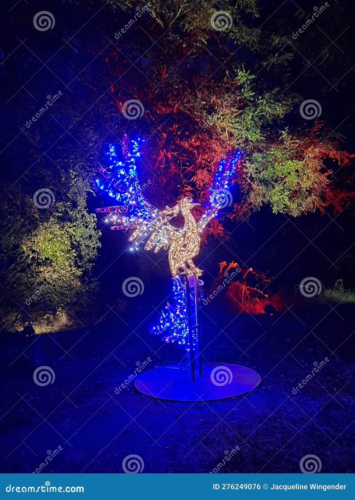 Phoenix Bird Light Installation Night Stock Photo - Image of light ...