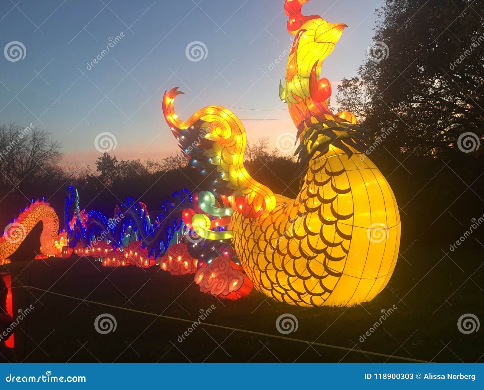 Phoenix bird stock image. Image of festival, lights - 118900303