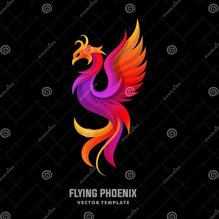 Phoenix Concept Designs Illustration Vector Template Stock Vector ...