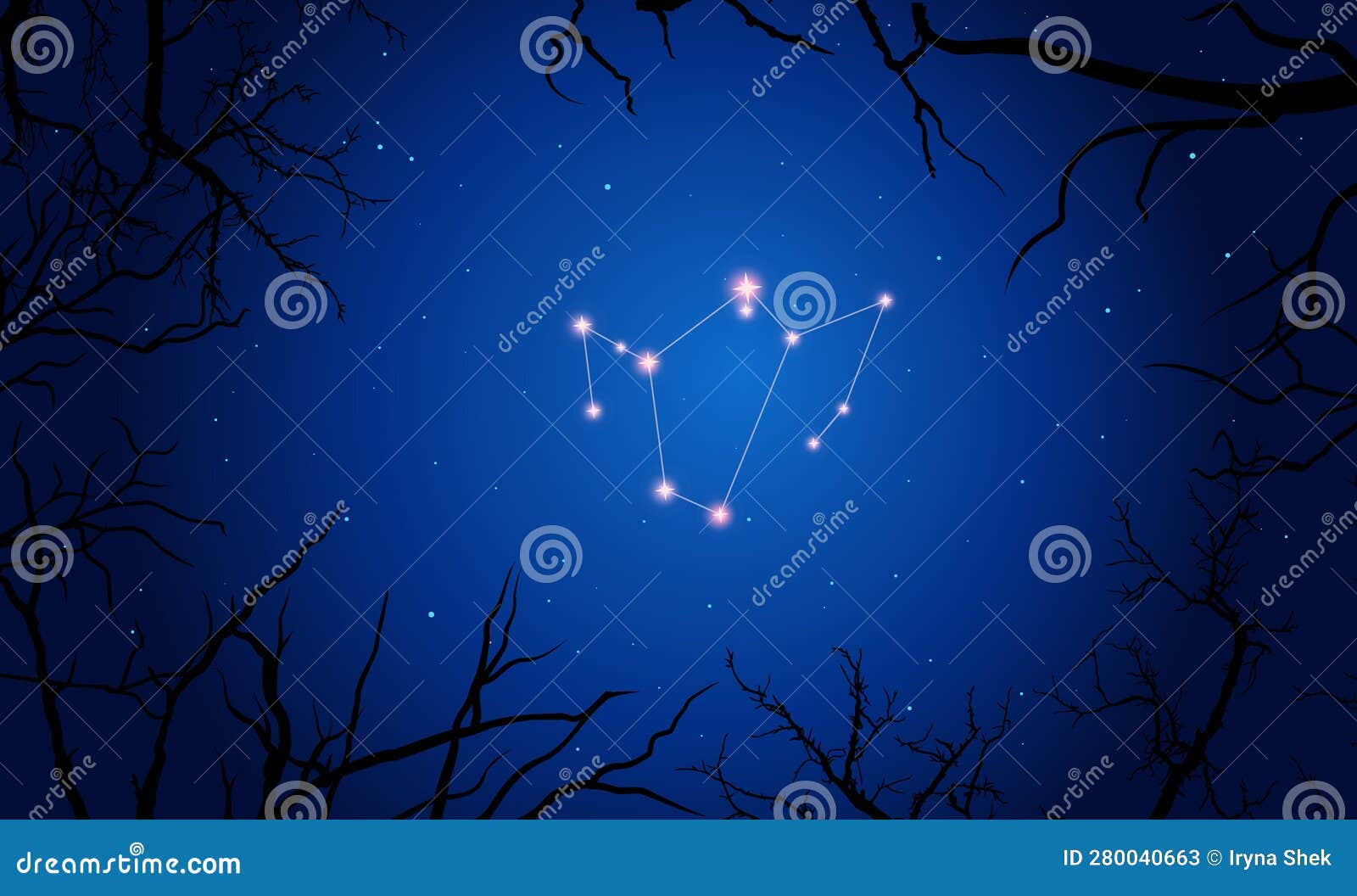 Phoenix Constellation. Tree Branches, Starry Sky Stock Vector ...