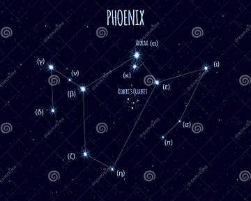 Phoenix Constellation, Vector Illustration with the Names of Basic ...