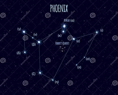 Phoenix Constellation, Vector Illustration with the Names of Basic ...