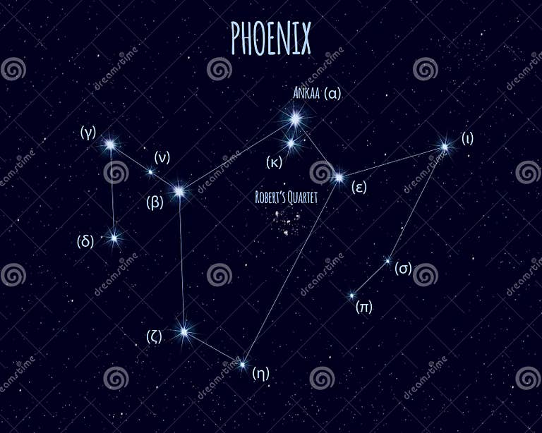Phoenix Constellation, Vector Illustration with the Names of Basic ...
