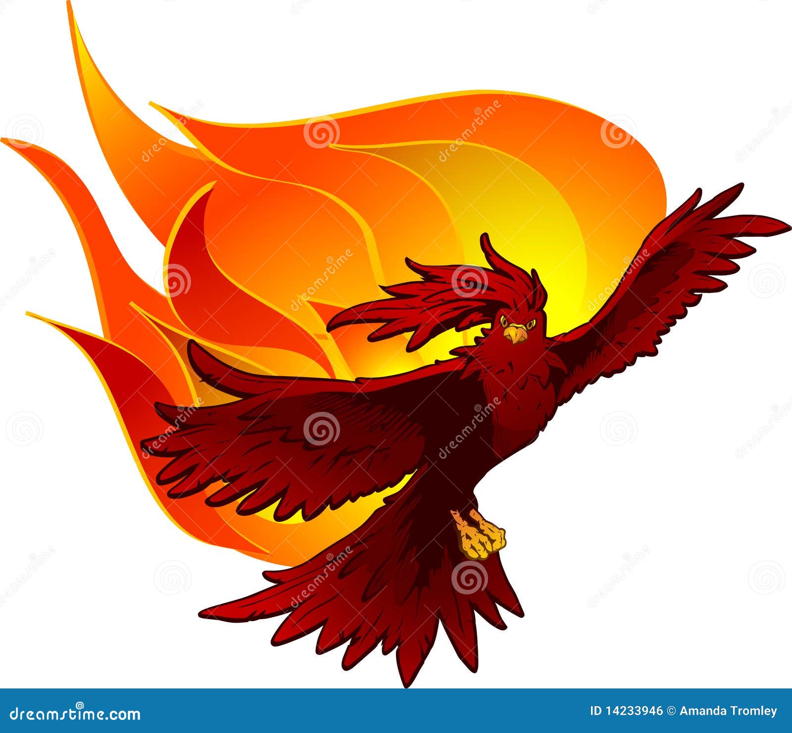 Phoenix on Fire stock vector. Illustration of flight - 14233946