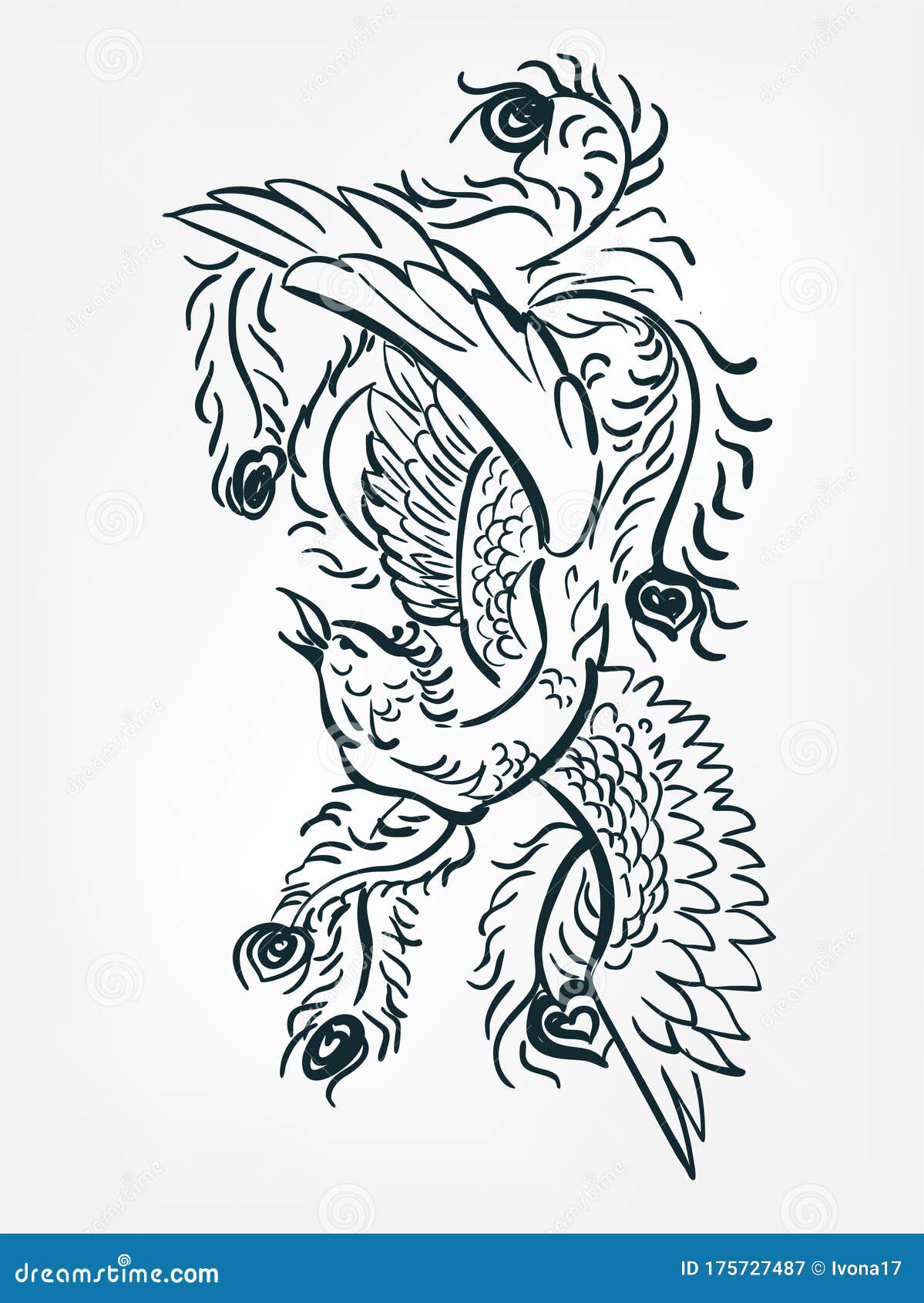 Chinese Phoenix Design