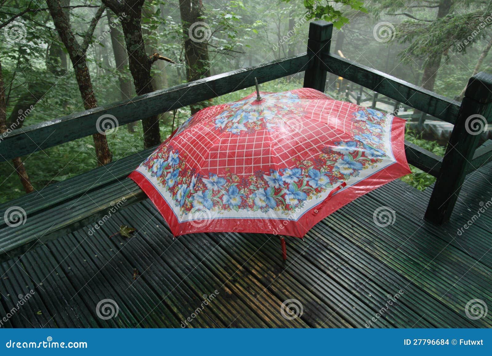 Phoenix Mountain National Forest Park Stock Photo - Image of mountain ...