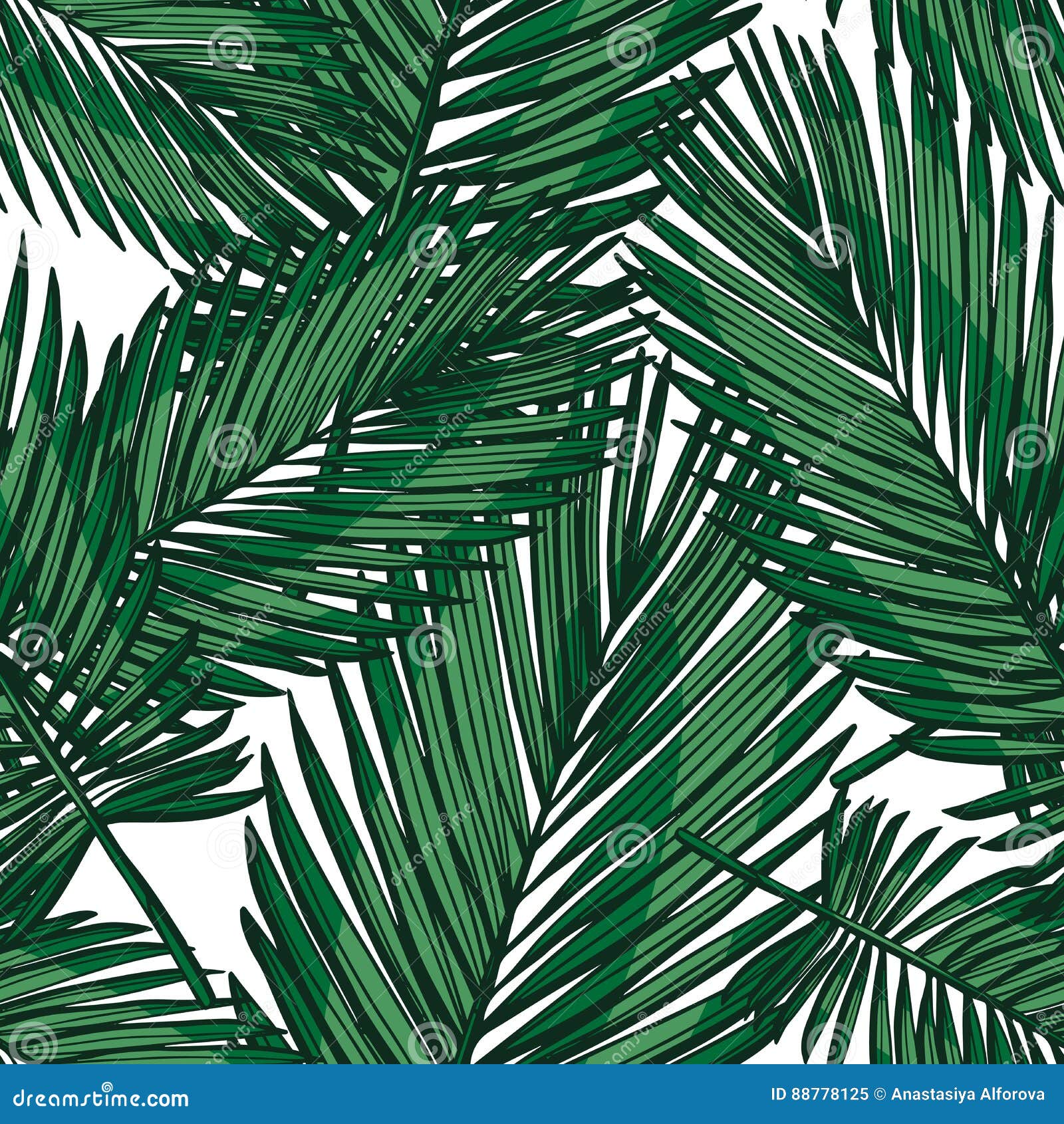 Phoenix Palm Hand Draw Vintage Engraving Style Black And White Clip Art ...