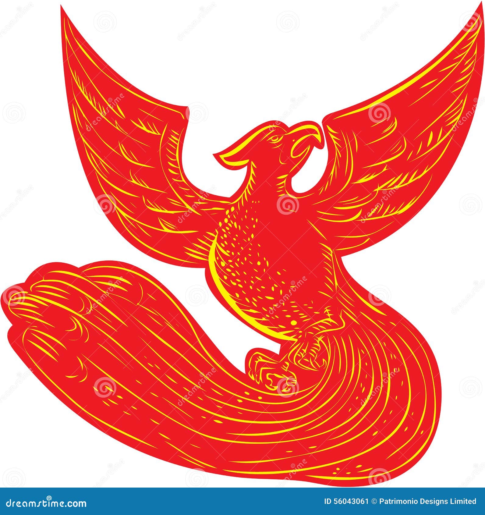 Phoenix Rising Etching stock vector. Illustration of scratched - 56043061