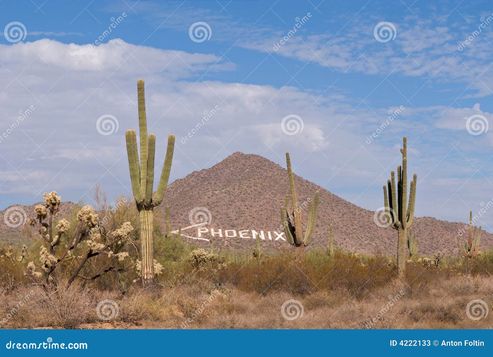 Phoenix Sign stock image. Image of desert, cactus, mountains - 4222133