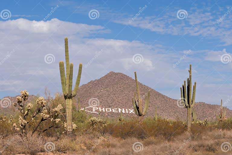 Phoenix Sign stock image. Image of desert, cactus, mountains - 4222133