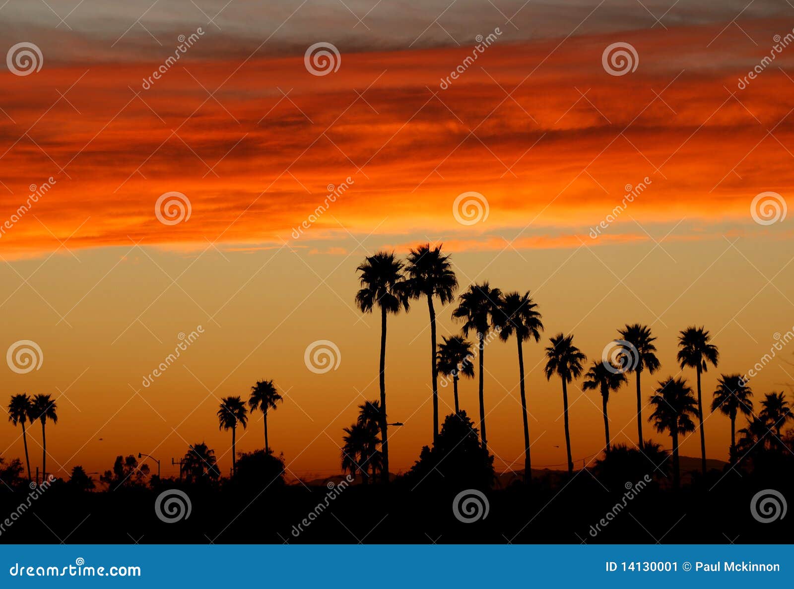 Phoenix Sunset with Palm Trees Stock Image - Image of orange, night ...