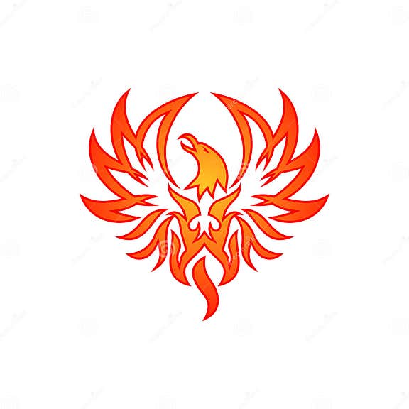 Phoenix Vector Template stock vector. Illustration of flying - 59154911