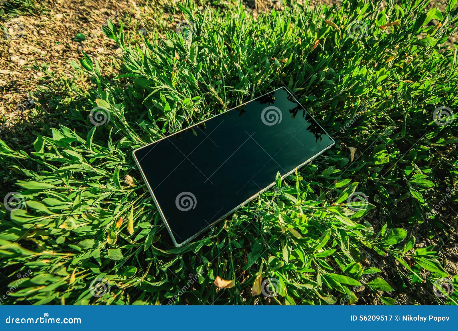 Phone on the grass. stock image. Image of tablet, mobile - 56209517