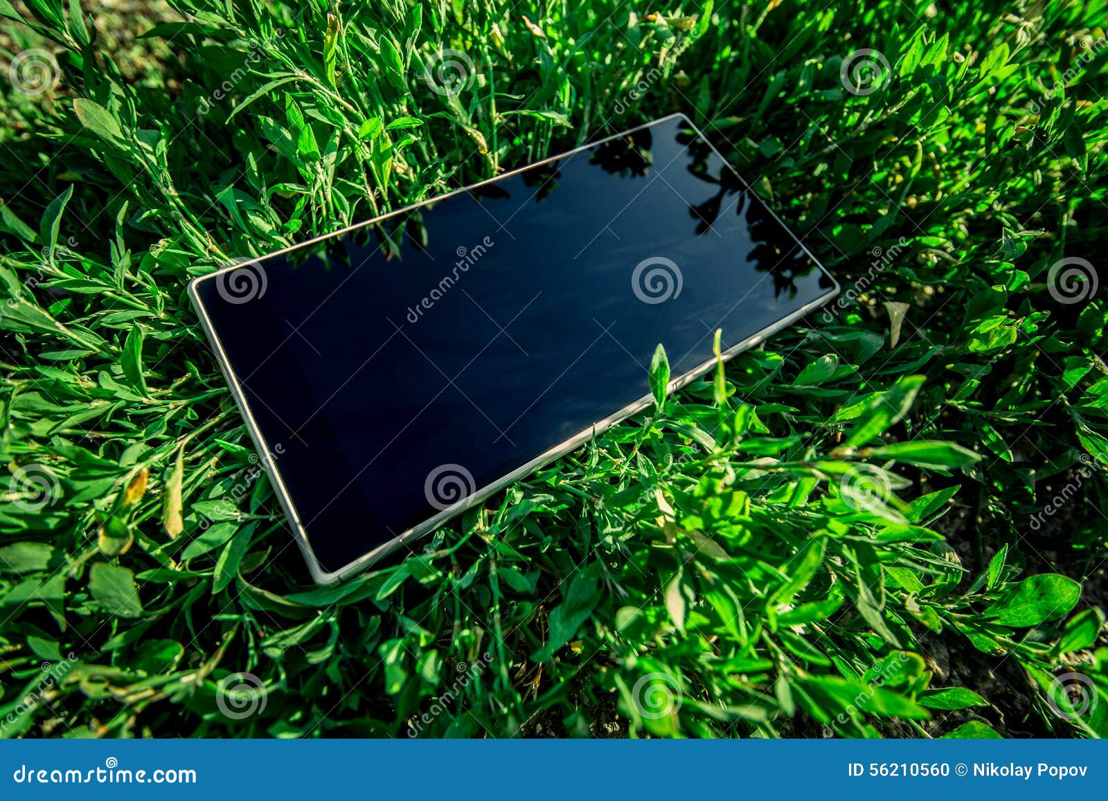 Phone on the grass. stock photo. Image of telephone, communications ...