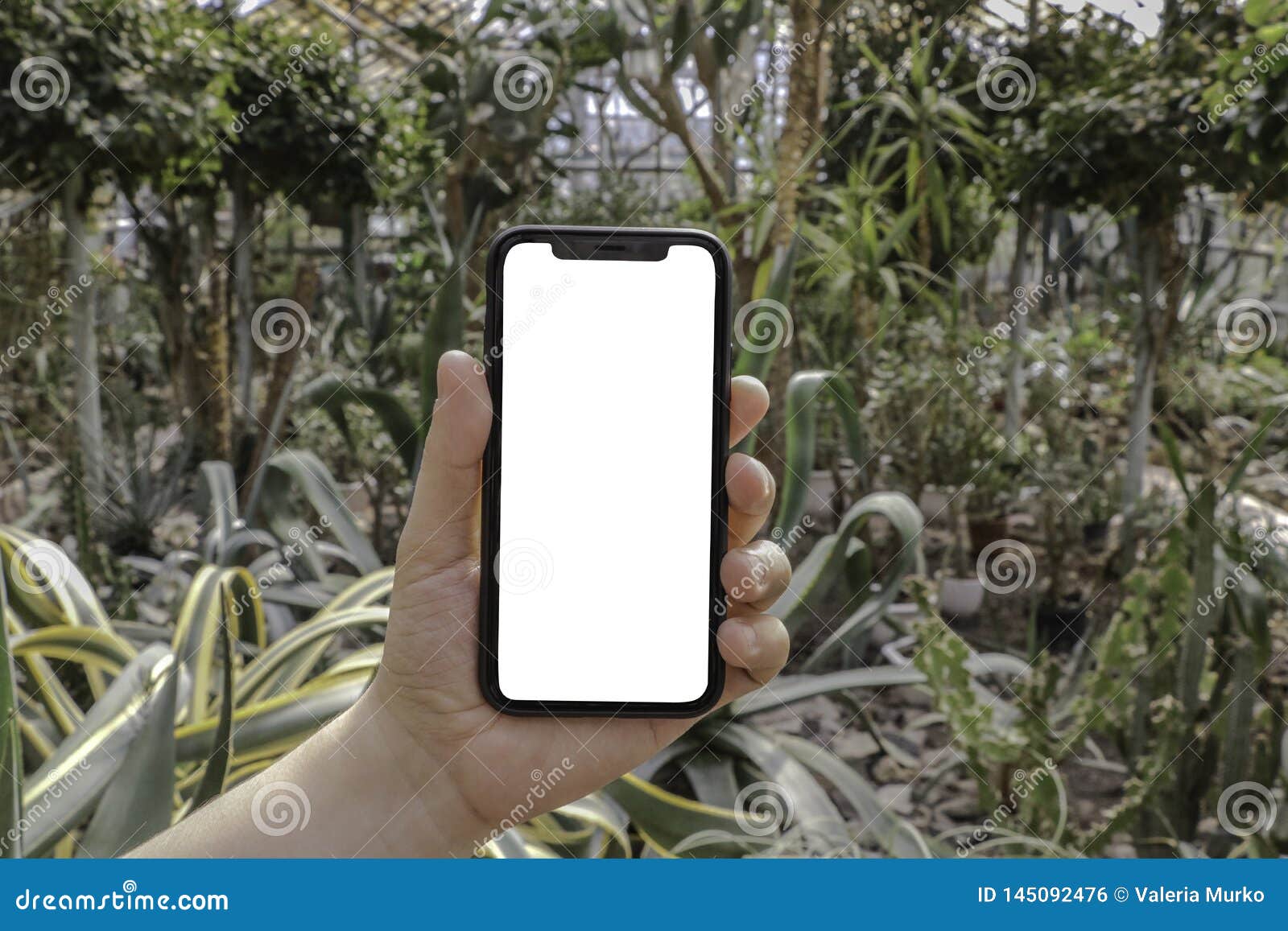 Phone in Hand on the Background of Trees, Park, Garden. Layout for the ...