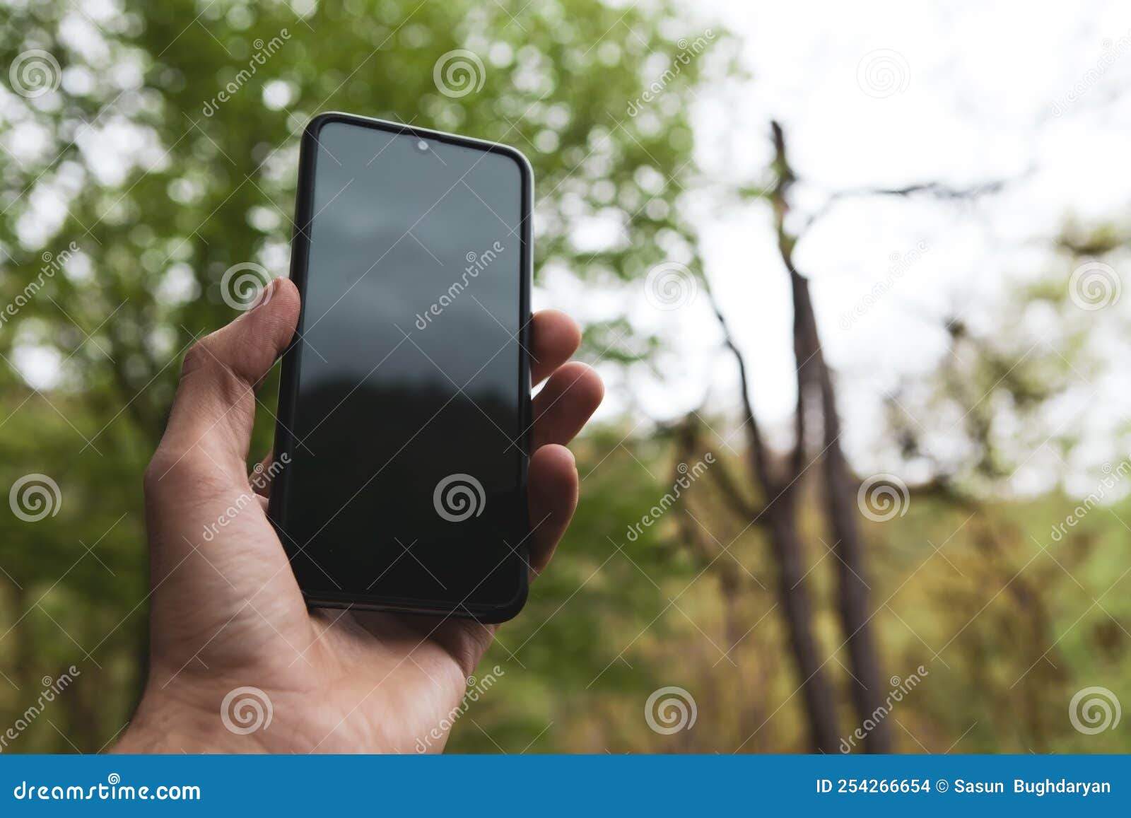 Phone in Hand Search for Communication in the Forest Stock Photo ...