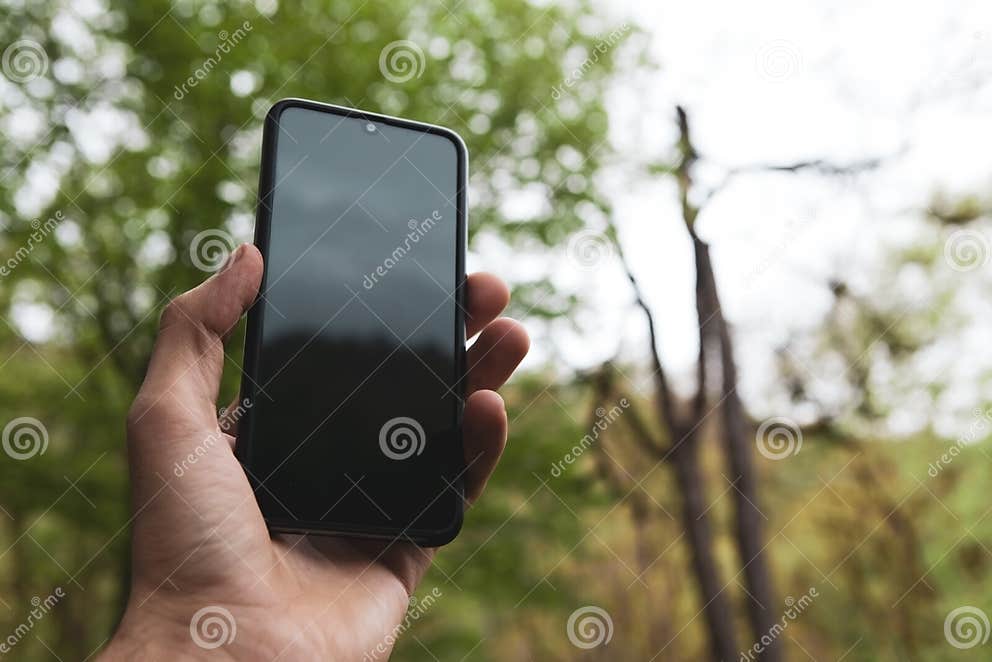 Phone in Hand Search for Communication in the Forest Stock Photo ...