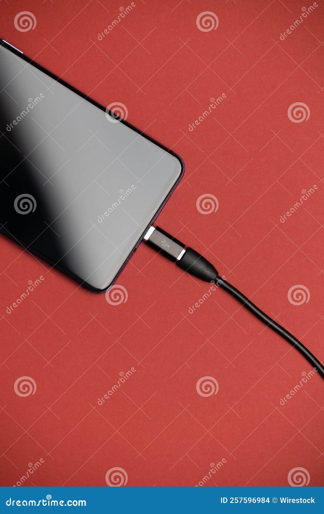 Phone with Micro USB To USB Type C Adapter Plugged in. Phone USB ...