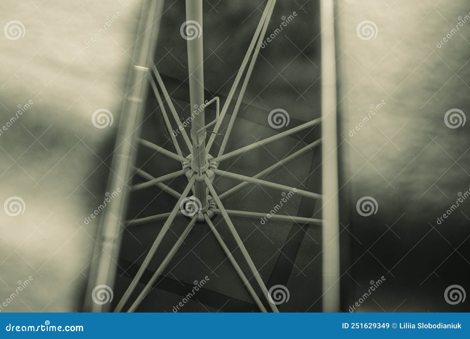 Phone screen reflection stock image. Image of ripe, flower - 251629349