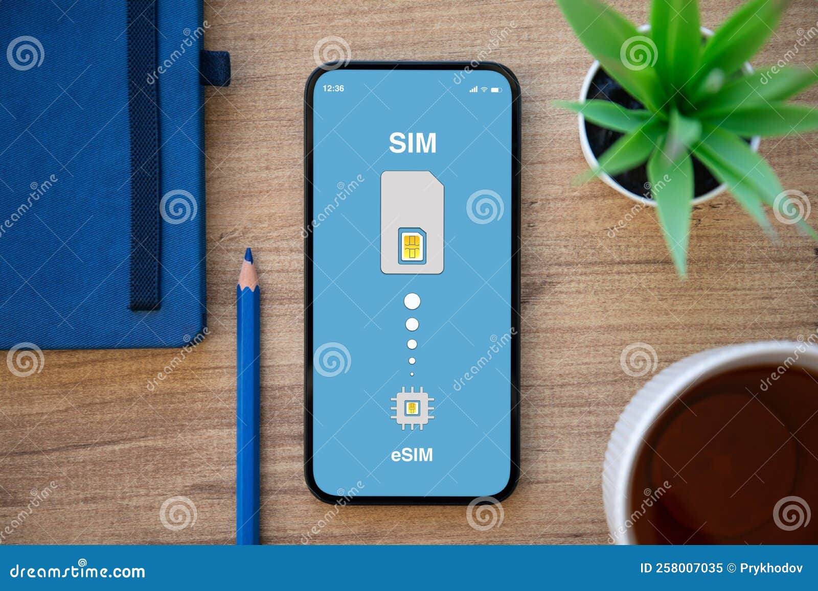 Phone with Sim Card Replacement on ESim on Screen Stock Image - Image ...
