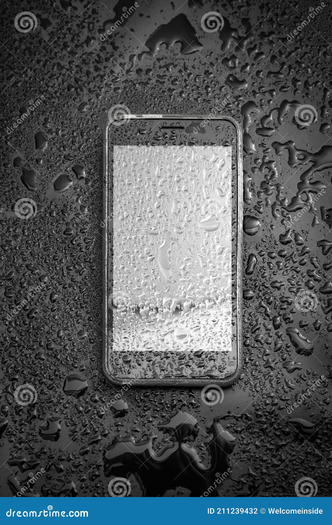 Phone Water Damage Protection Concept Stock Photo - Image of ingress ...