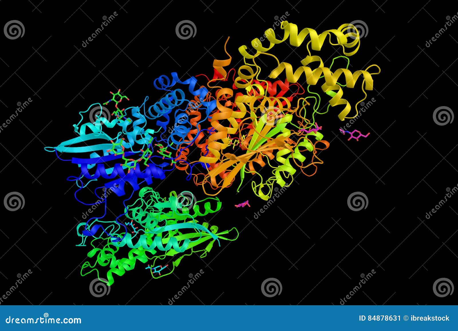 Phosphatase Acide Prostatique PAP, Une Enzyme Produite Illustration ...