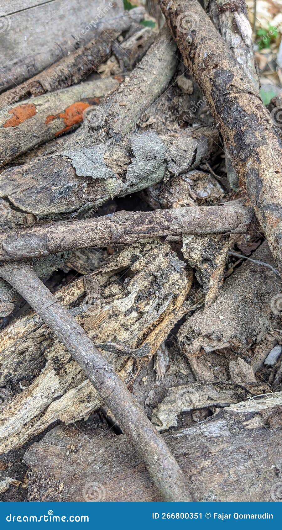 A Photo of an Abandoned Pile of Brittle Wood Stock Image - Image of ...